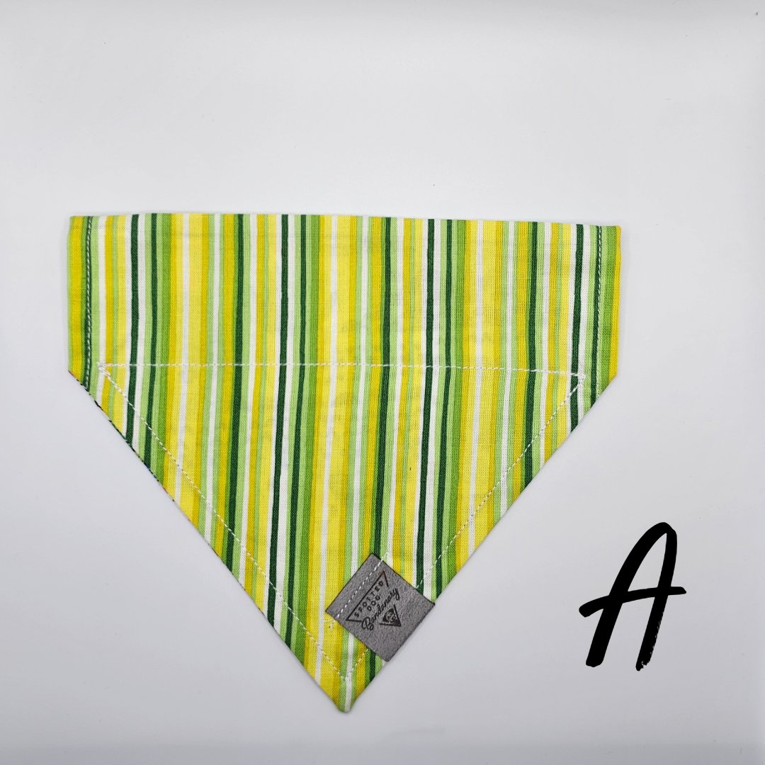 Succulent Stripe Fusion – Hanging High Hammocks